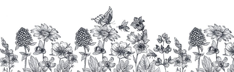 Frequently Asked Questions | Bee Well